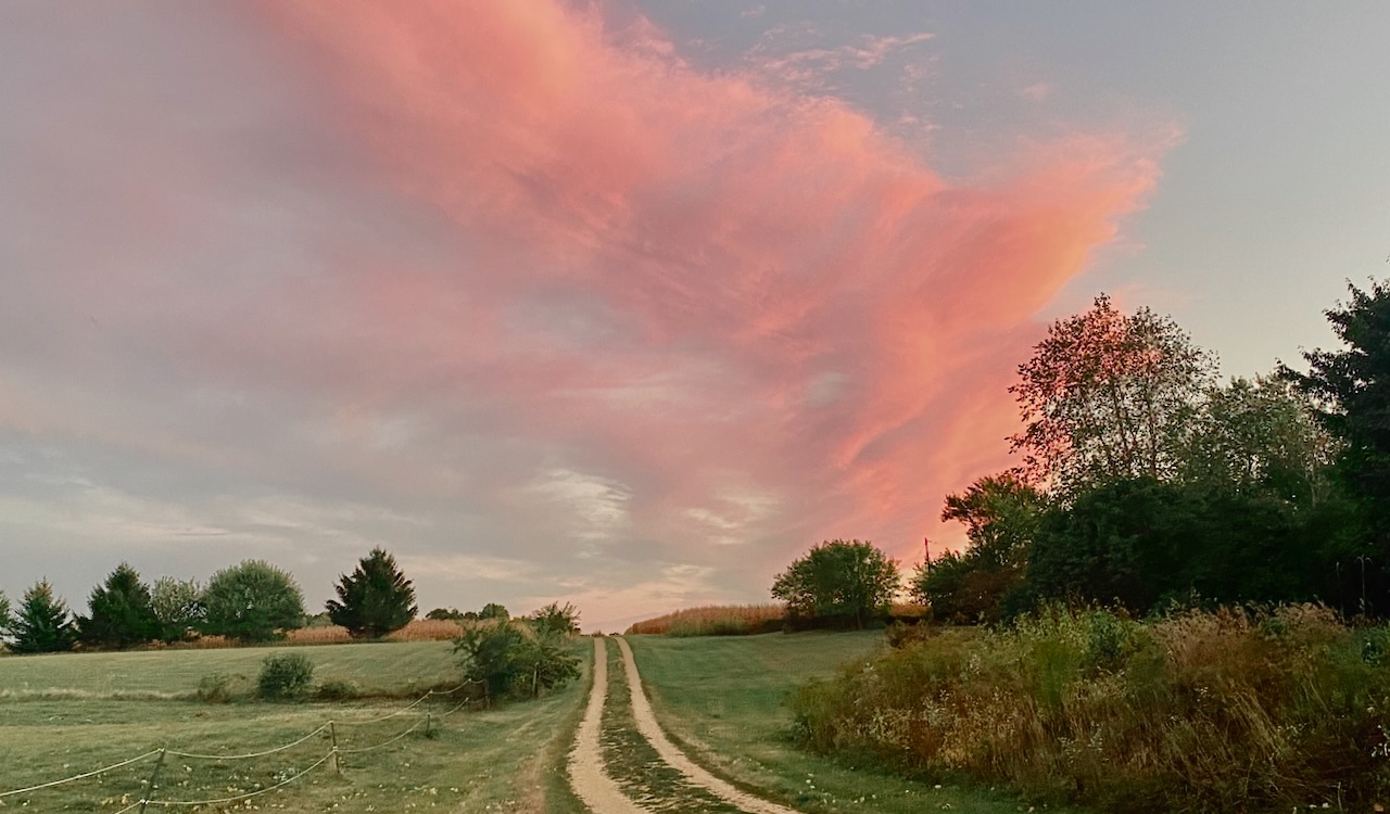 Down the Long Lane Stories